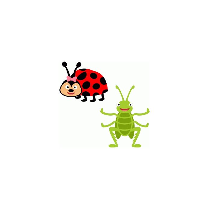 ladybug & grasshopper