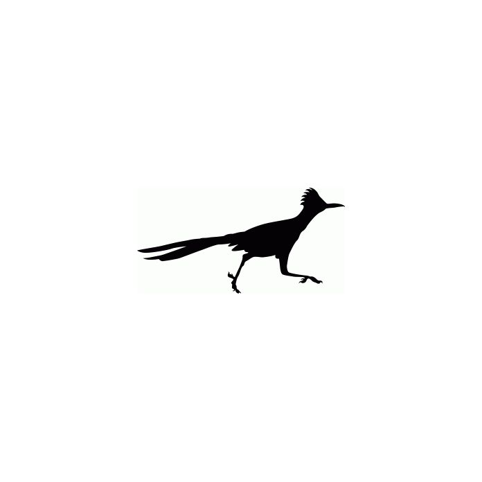 roadrunner silhouette