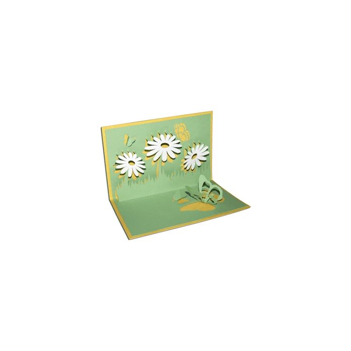 pop-up spring card