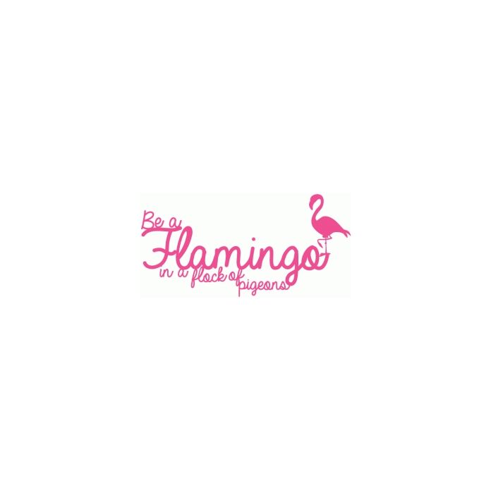 be a flamingo phrase / quote