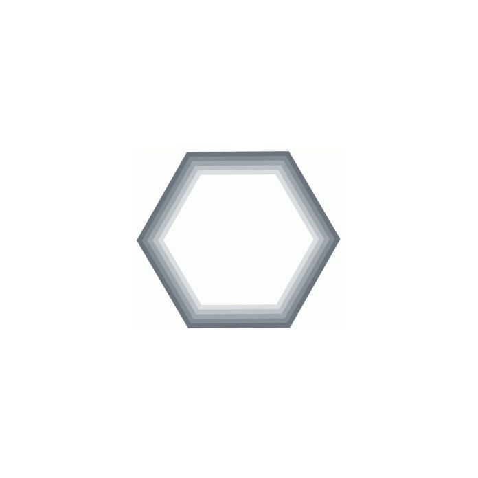 nested hexagon shapes / labels
