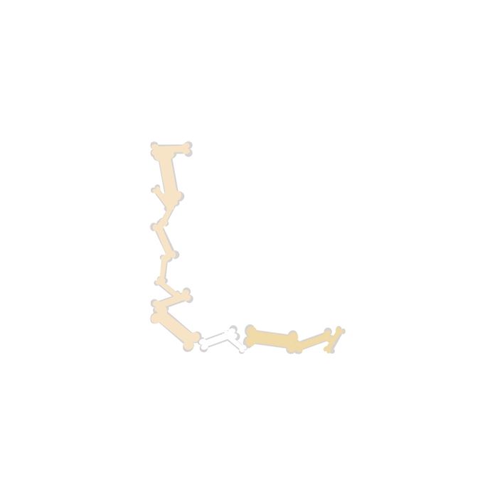 bone border