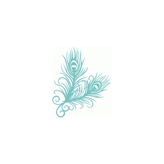 peacock feather flourish