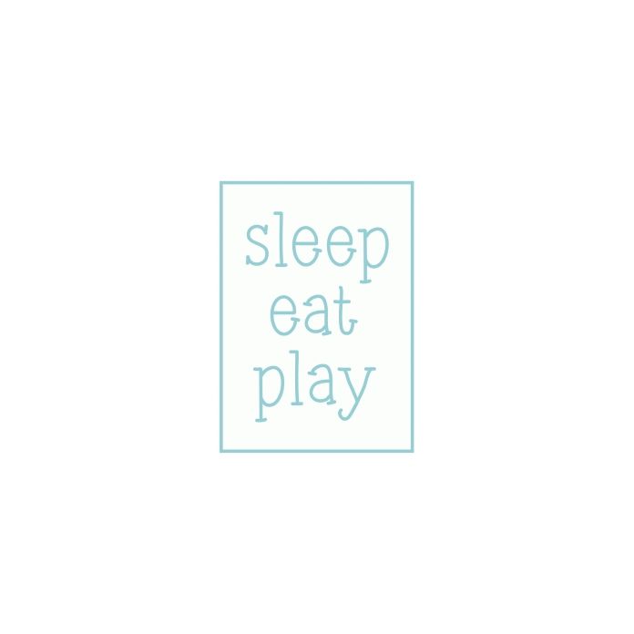 sleep eat play
