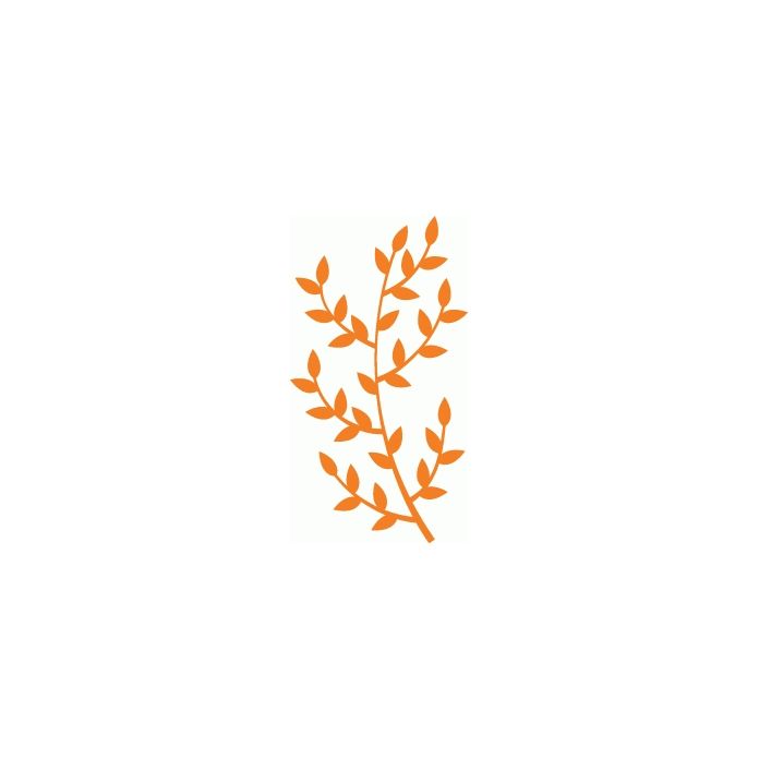 fall branch