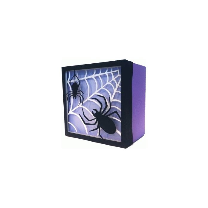 spiderweb gift box