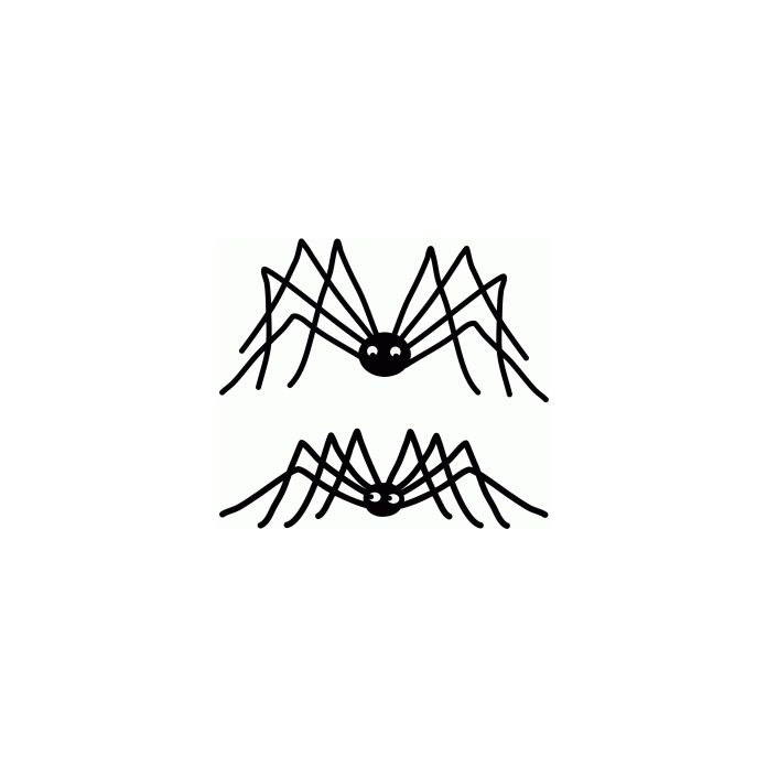 two cheeky spiders