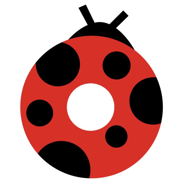 Ladybug Floatie