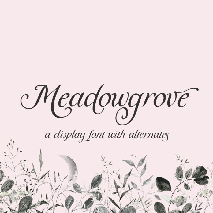 Meadowgrove Display Font - Script Font|D-1254423