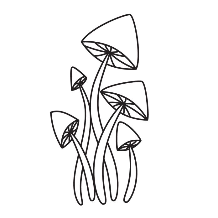 Mushrooms outline design