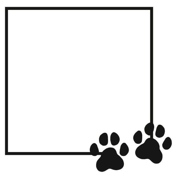 Paw Prints Square Frame