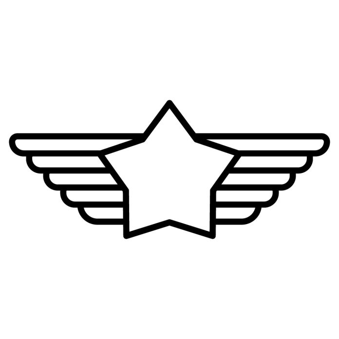 Pilot Wings
