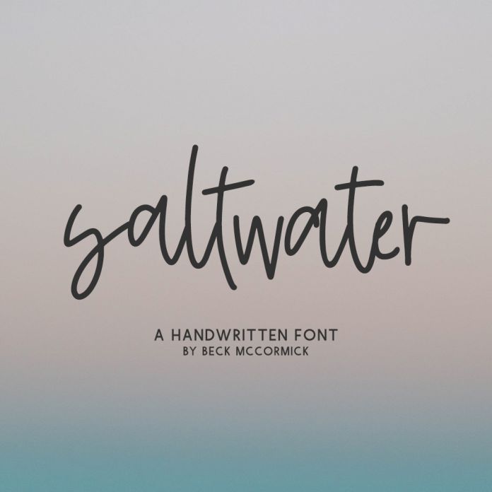 Saltwater Script Font|D-377135